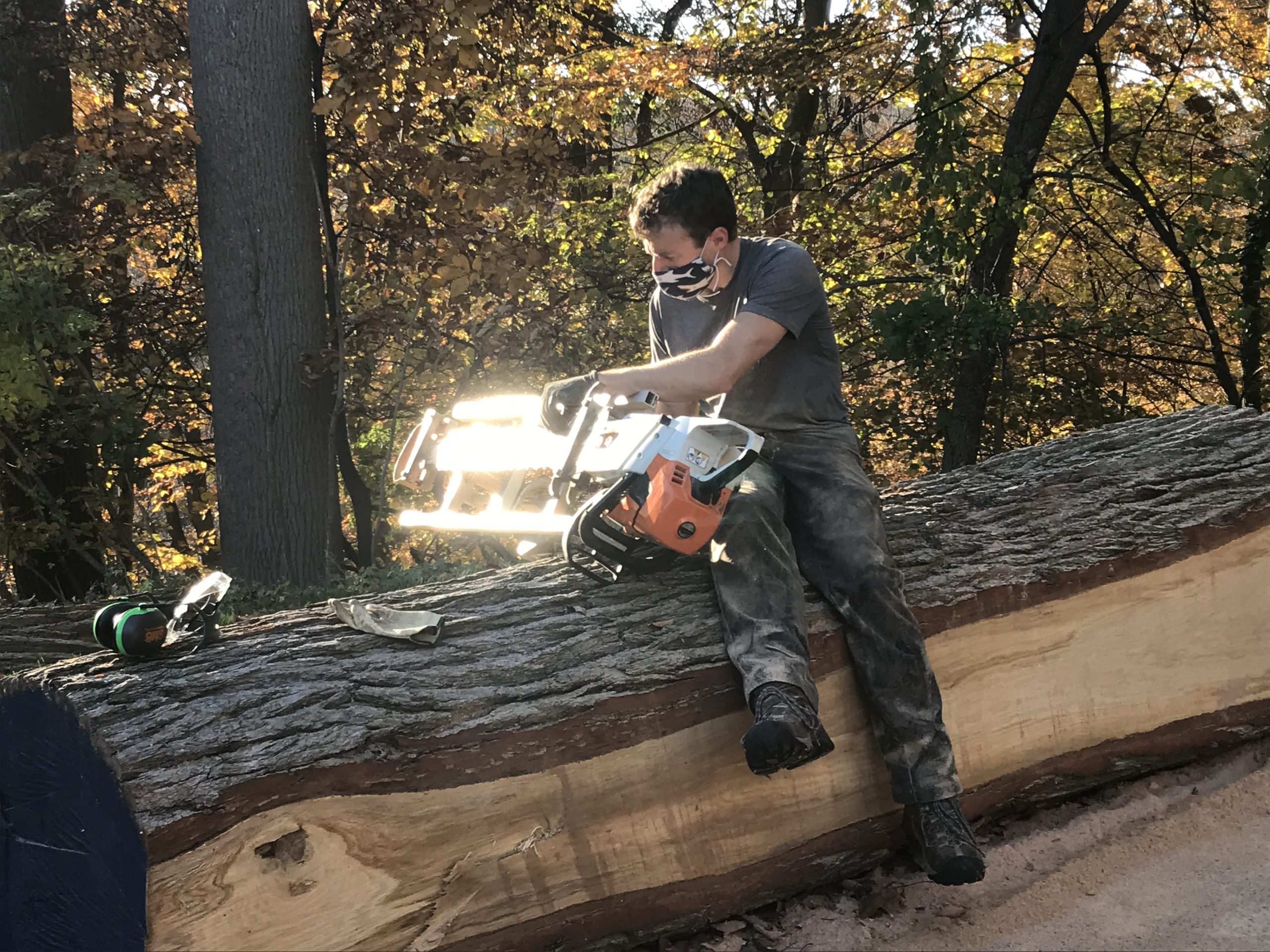 Wood: from Grounds to the Makerspace - Swarthmore College - ITS Blog
