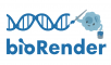 Elevate Your Scientific Illustrations: Integrate BioRender with ...