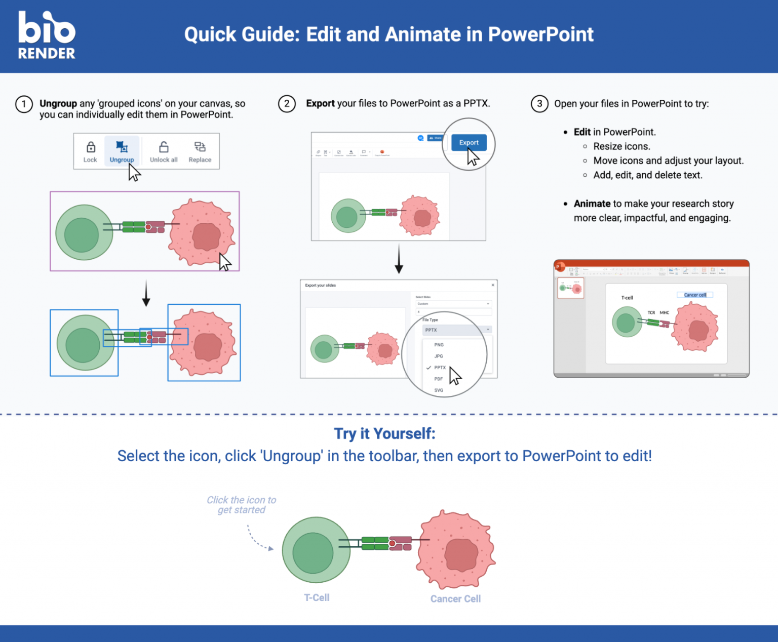 Elevate Your Scientific Illustrations: Integrate BioRender with ...